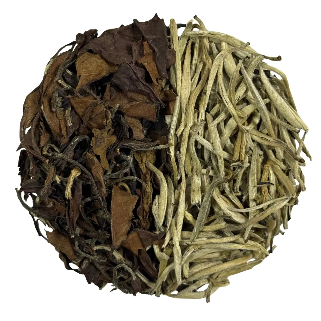 White Tea | Authentic Chinese Origin – Chinese Tea Group