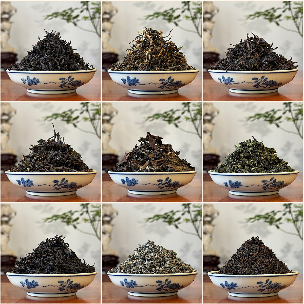 2025 Chinese Tea Sampler – 9 Best-Selling Loose Leaf Teas – Chinese Tea ...